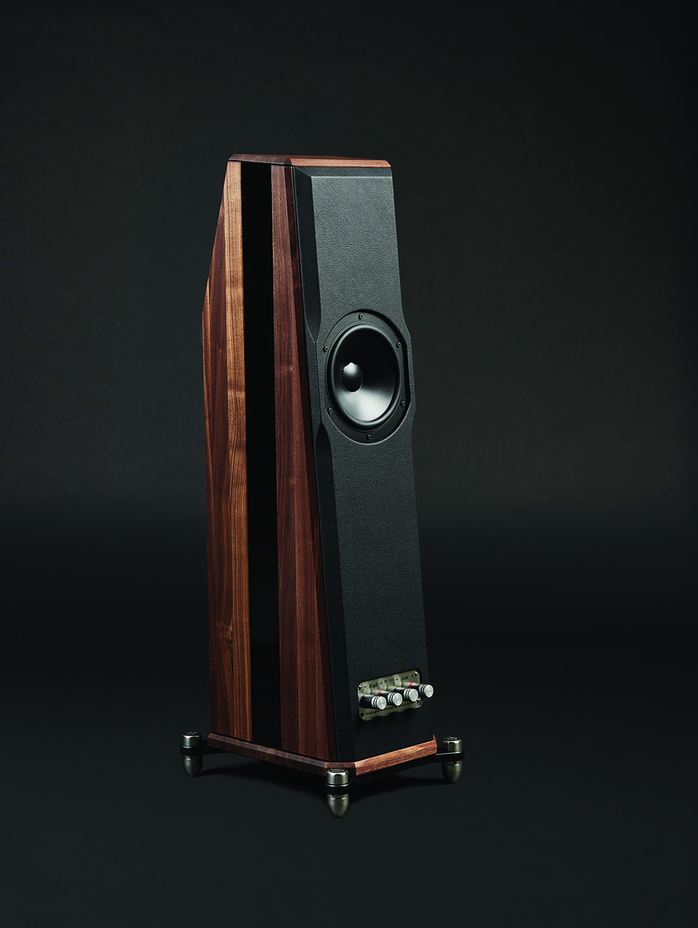 Peak Consult Sonora: A New Era in Sound - hi-fi+